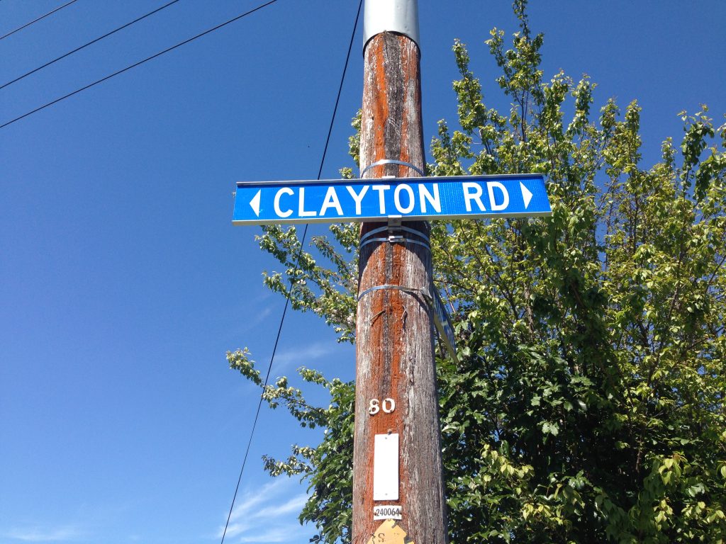 Singapore Arborist Tree Assessment - Enhancing Tree Safety And Learn ...